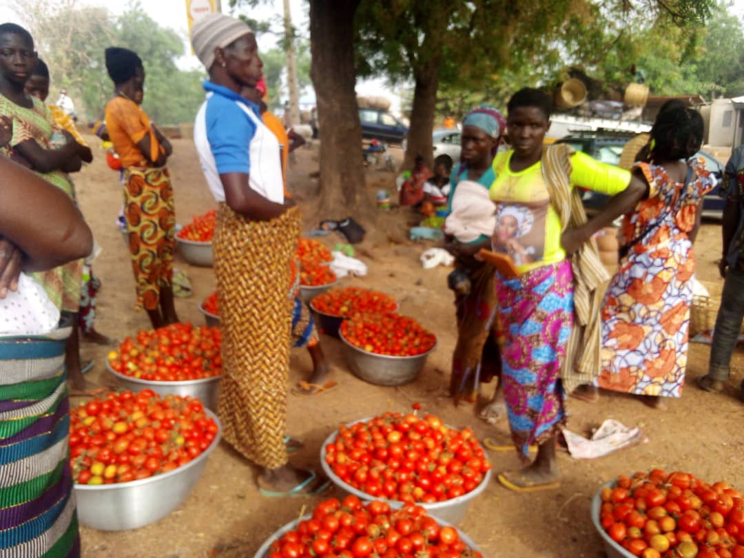 Dapaong: Ces productrices qui regardent pourrir impuissamment leurs ...